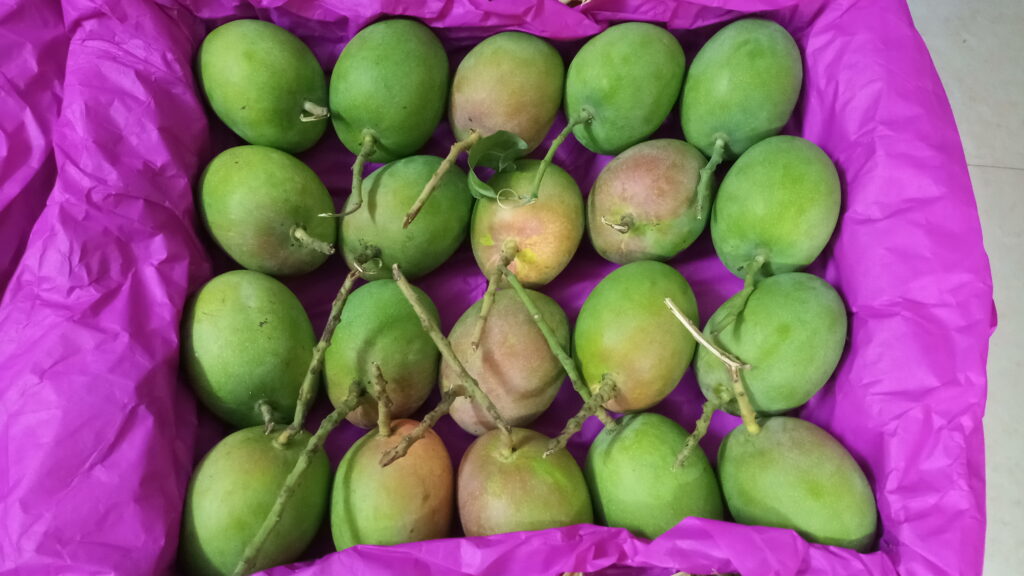 7 Dozen Wood Box (Grade 4) Alphonso Hapoos | Devgad Ratnagiri Hapoos ...