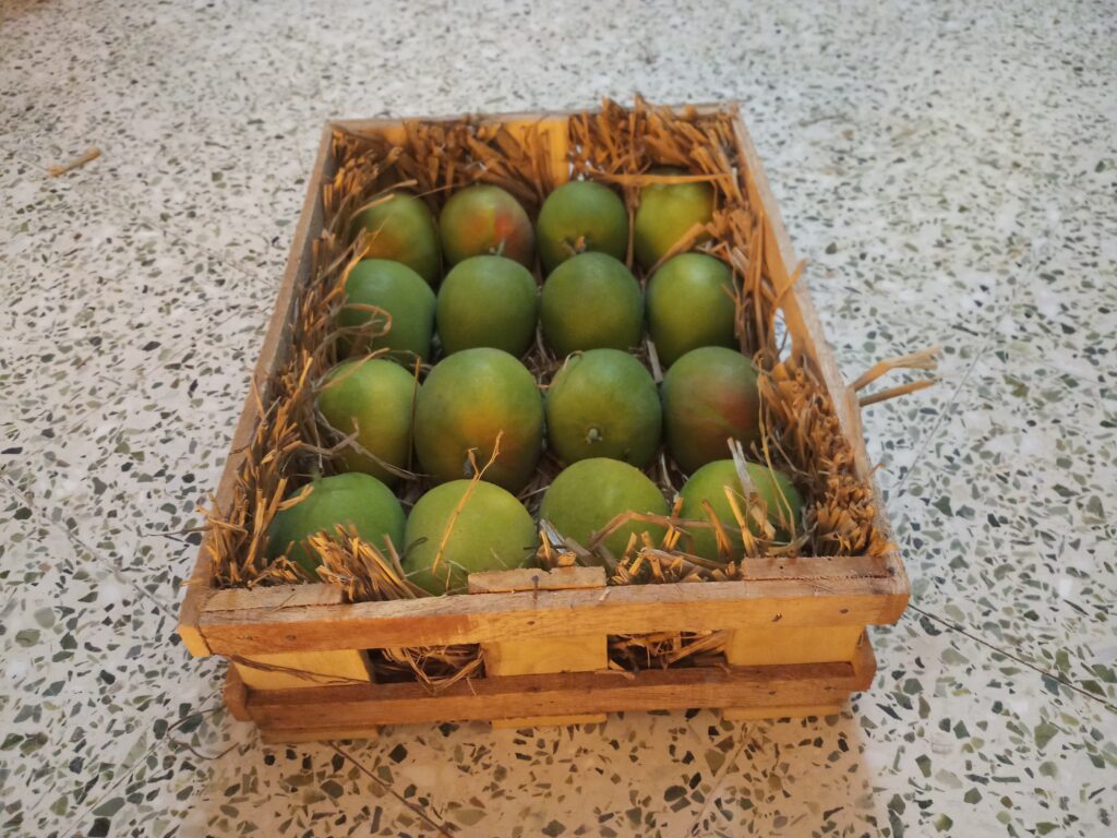 16 Pcs Quarter Wood Box (Grade 1) Devgad-Ratnagiri Hapoos Alphonso ...